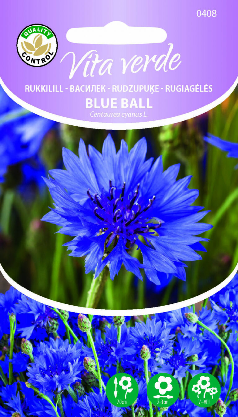 Rukkilill – Horticom